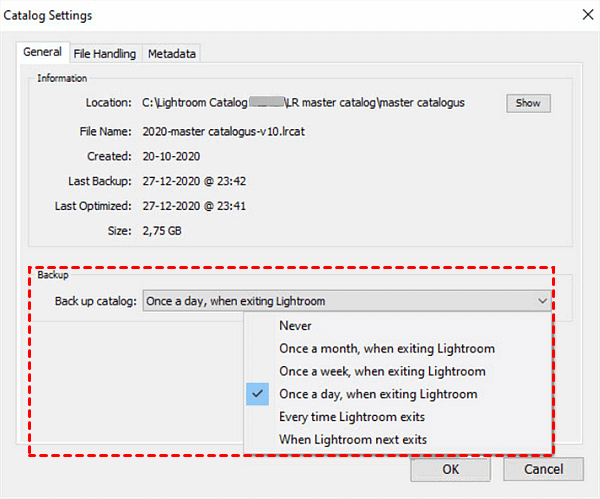 How to Recover Deleted Files from Lightroom [3 Ways]