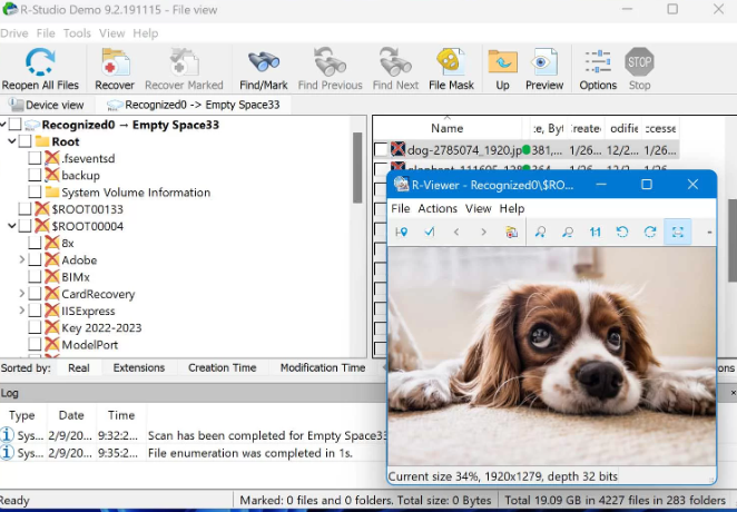 Best File Recovery Software for Windows Computers