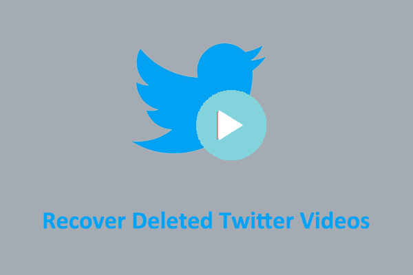 [Quick Guide] How to View Deleted Twitter (X) Videos?
